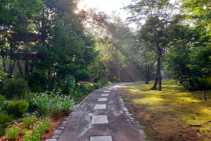 【白馬村のホテル】至れり尽くせりなサービスが魅力の「シェラリゾート白馬」で心も体もリフレッシュ